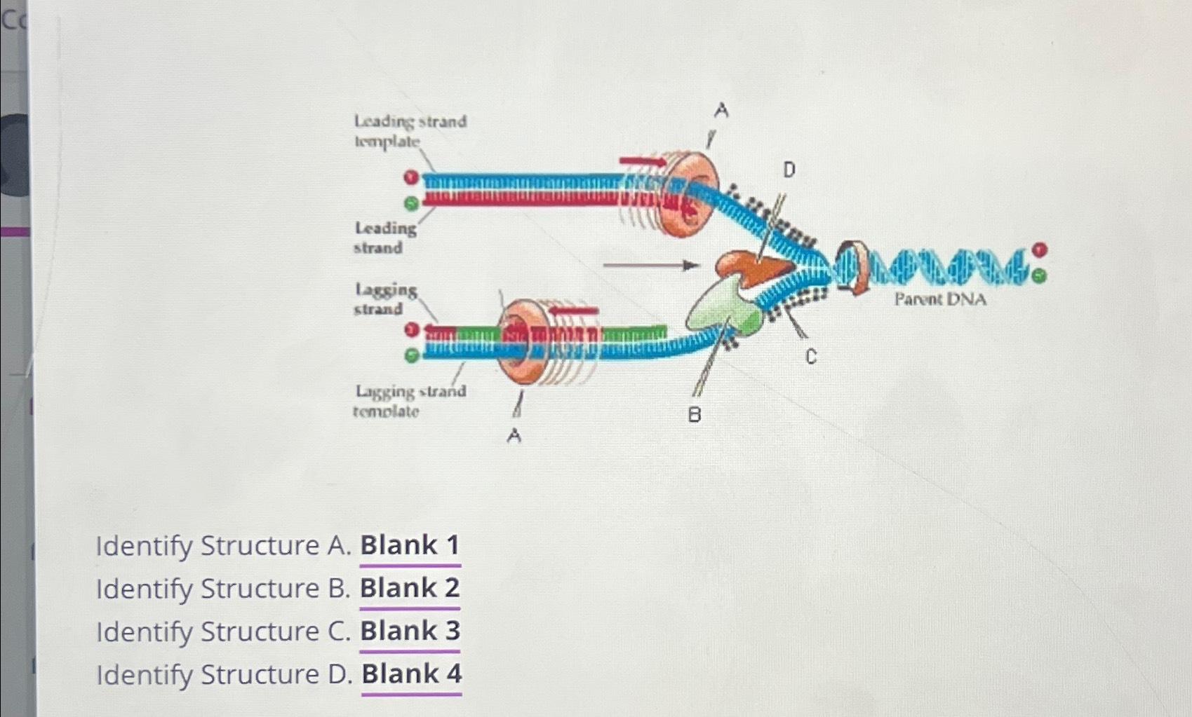 Solved Identify Structure A. ﻿Blank 1Identify Structure B. | Chegg.com