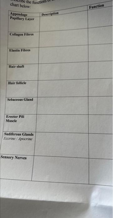 Solved \begin{tabular}{|l|l|l|} \hline Chart below: & | Chegg.com