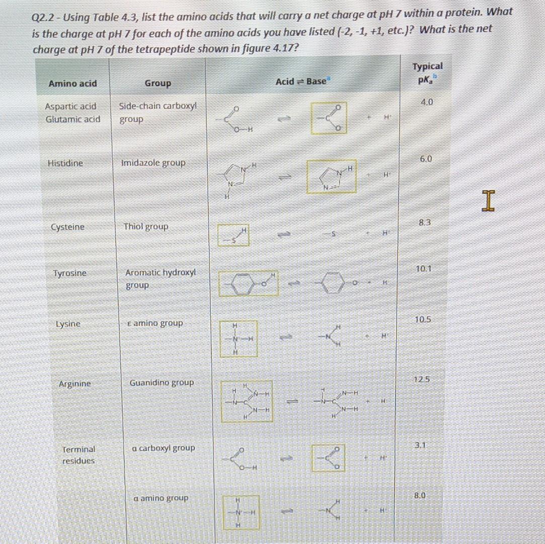 Solved Q2.2 - Using Table 4.3, list the amino acids that | Chegg.com