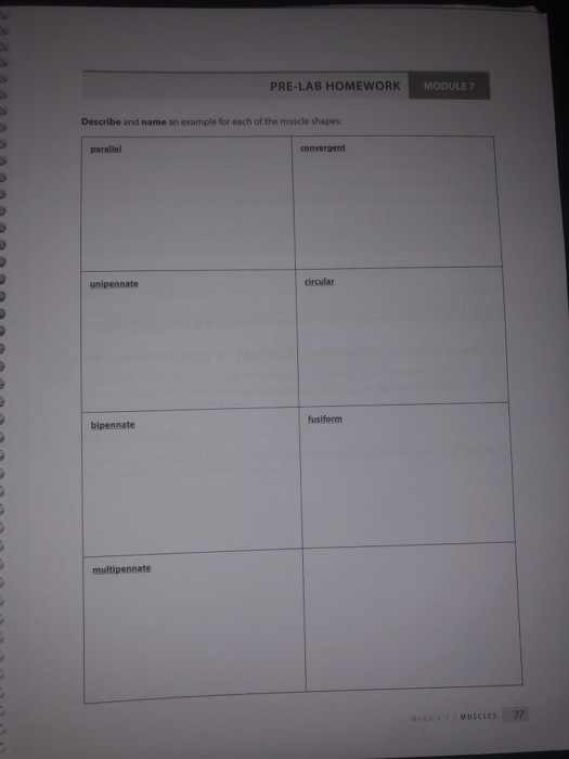 Solved PRE-LAB HOMEWORK MODULE 7 Describe and name an | Chegg.com