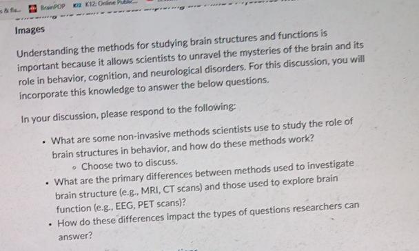 Solved ImagesUnderstanding the methods for studying brain | Chegg.com
