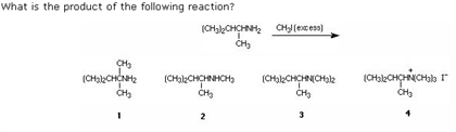 Solved What is the product of the following reaction? | Chegg.com