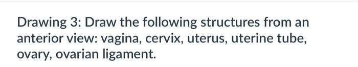 Solved Drawing 3: Draw the following structures from an | Chegg.com