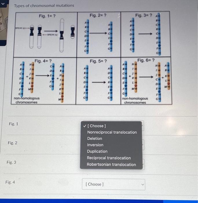 Solved Types of chromosomal mutations Fig. 1 Fig. 2 | Chegg.com
