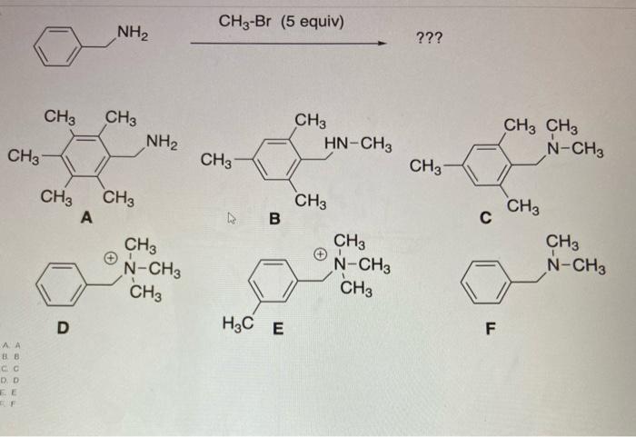 Solved NH2 CH3-Br (5 equiv) ??? CH3 CH3 NH2 CH3 HN-CH CH3 | Chegg.com