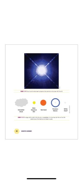 Solved Insert the followits objects inso their proper oval, | Chegg.com