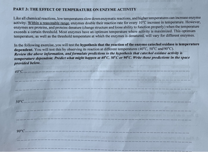 Solved PART 3: THE EFFECT OF TEMPERATURE ON ENZYME ACTIVITY | Chegg.com