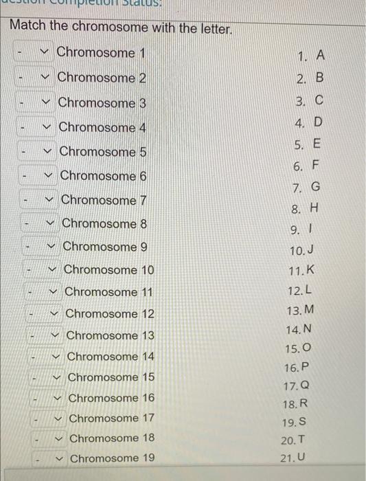Match the chromosome with the letter. Chromosome 1 | Chegg.com