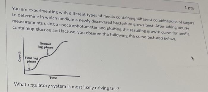 Solved You are experimenting with different types of media | Chegg.com