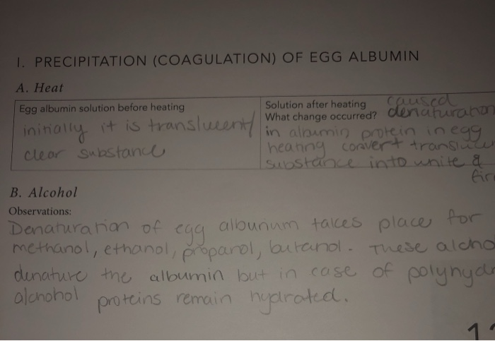 Solved 1. PRECIPITATION (COAGULATION) OF EGG ALBUMIN A. Heat | Chegg.com