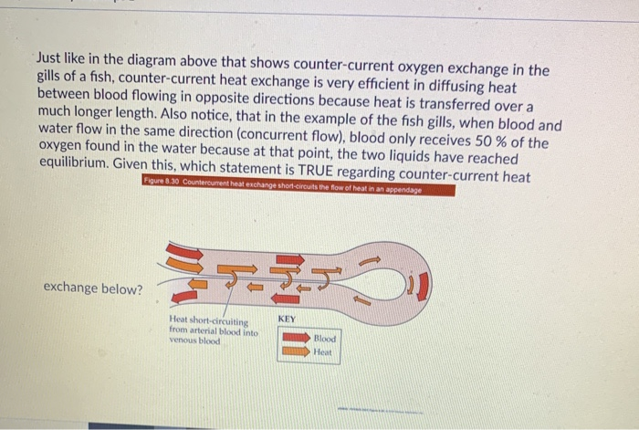 Solved Just like in the diagram above that shows | Chegg.com