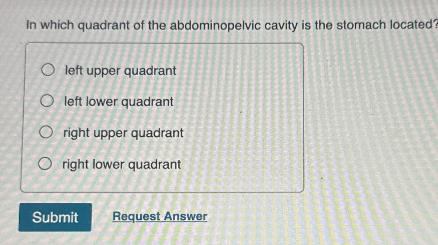 Solved In which quadrant of the abdominopelvic cavity is the | Chegg.com