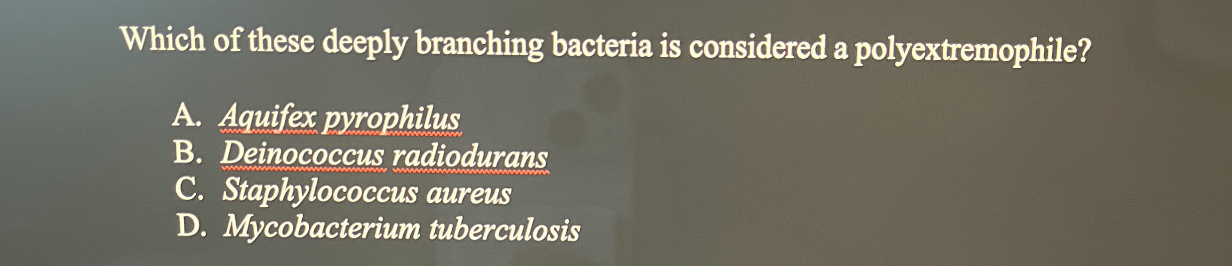 Solved Which of these deeply branching bacteria is | Chegg.com