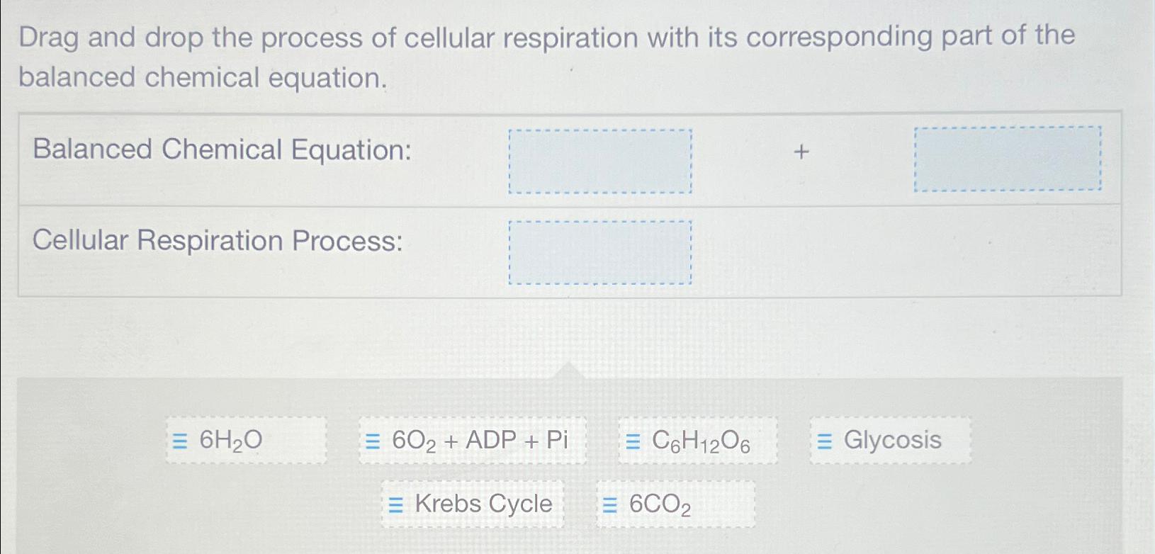 Solved Drag and drop the process of cellular respiration | Chegg.com