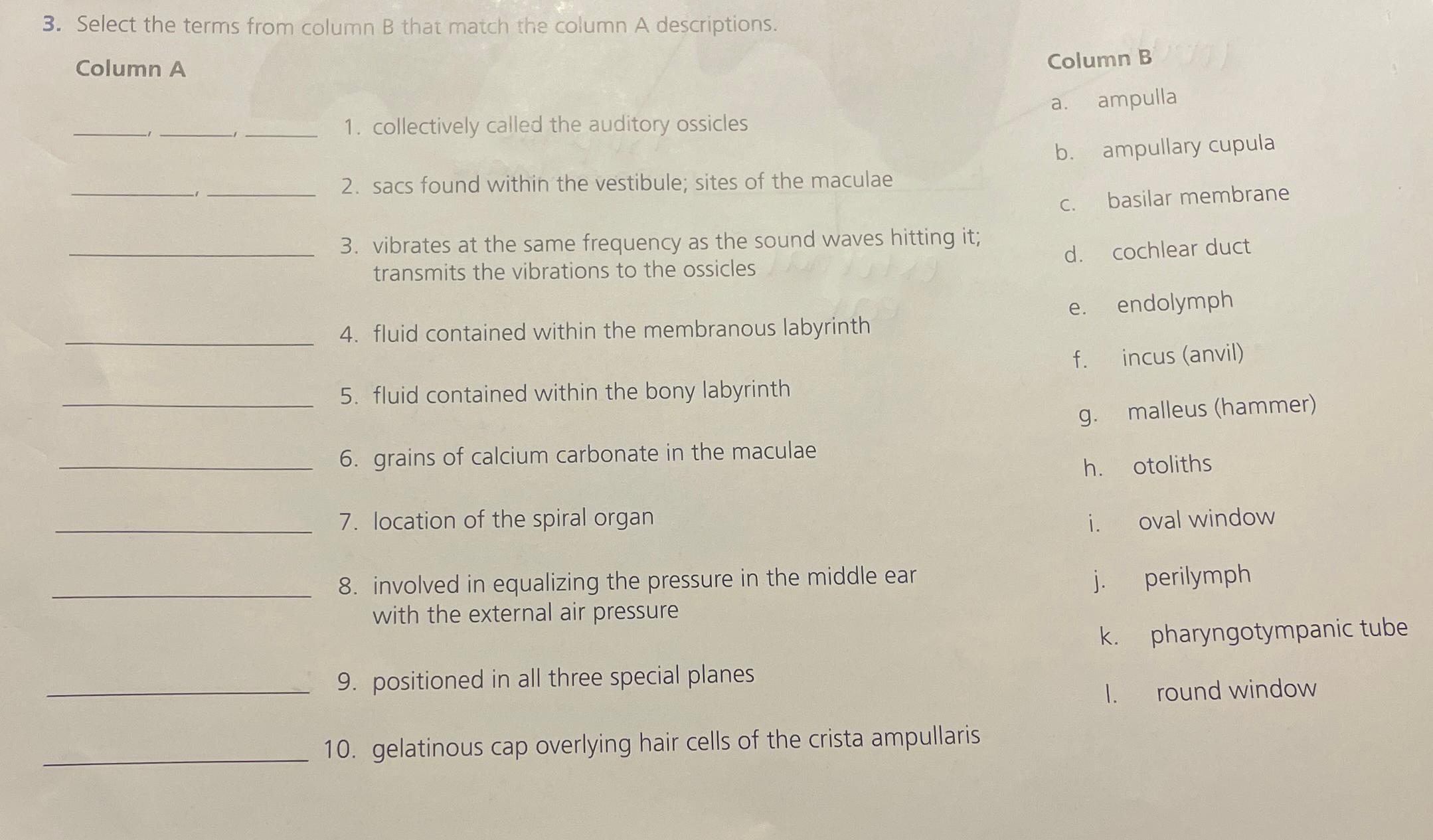 Solved Select the terms from column B that match the column | Chegg.com