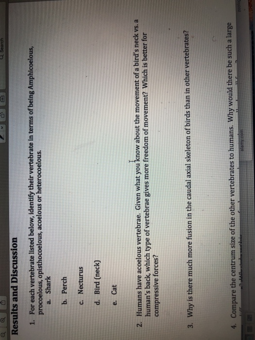 Solved Results and Discussion 1. For each vertebrate listed | Chegg.com
