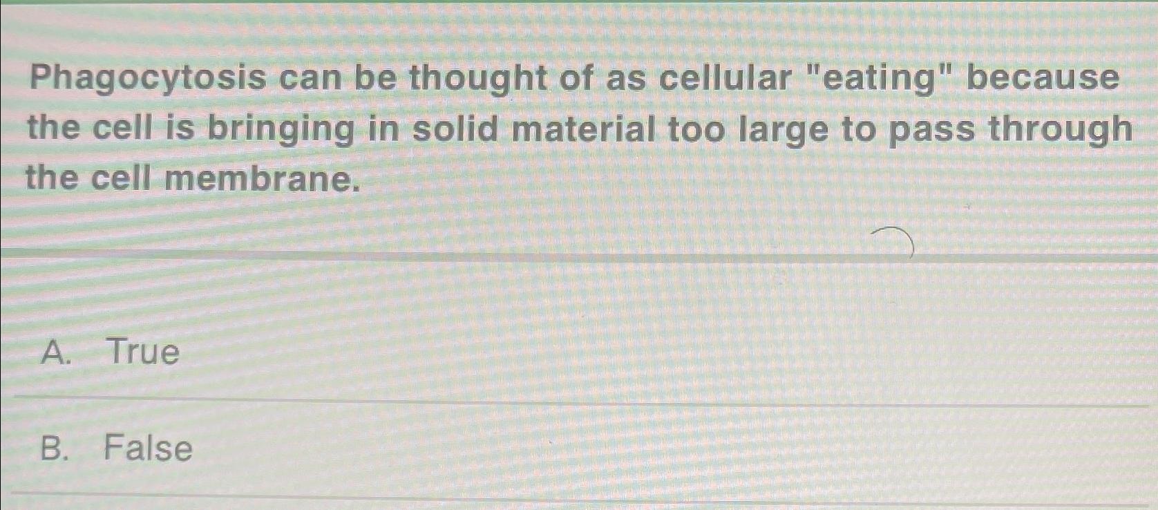 Solved Phagocytosis can be thought of as cellular "eating" | Chegg.com