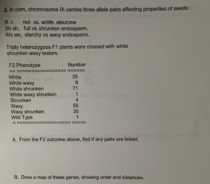 Solved 2. In corn, chromosome IX carries three allele pairs | Chegg.com