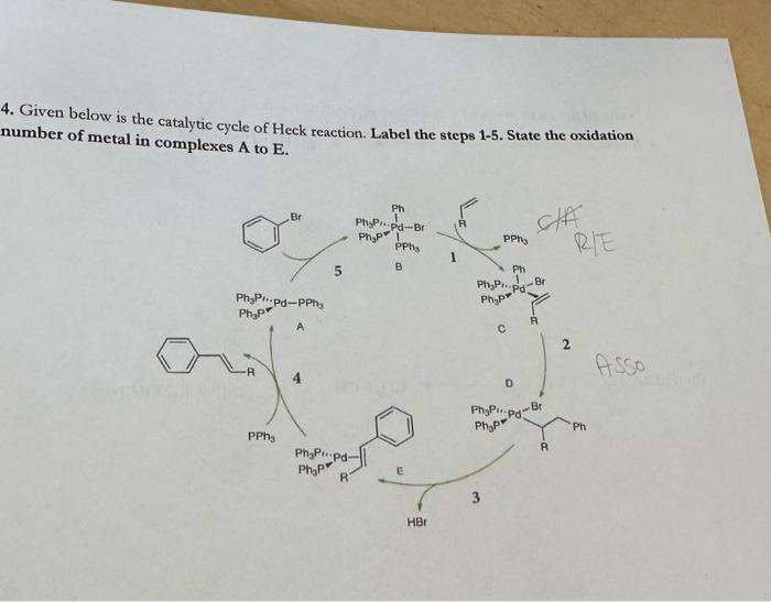Solved 4. Given below is the catalytic cycle of Heck | Chegg.com