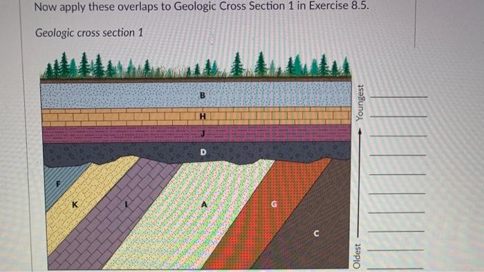 Solved Now apply these overlaps to Geologic Cross Section 1 | Chegg.com