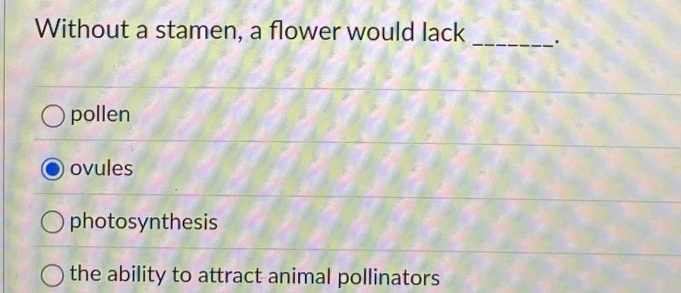 Solved Without a stamen, a flower would | Chegg.com