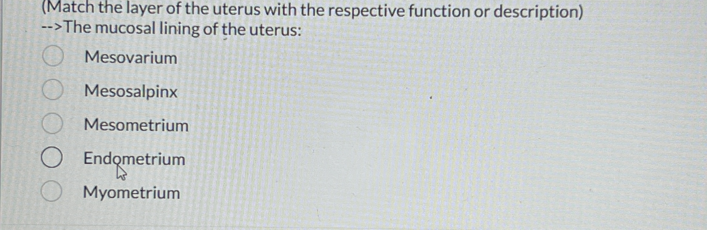 Solved (Match the layer of the uterus with the respective | Chegg.com