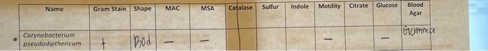 Solved Name MAC Gram Stain Shape MSA MAC Catalase Sulfur | Chegg.com