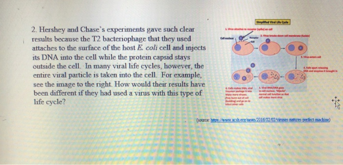 Solved 2. Hershey and Chase's experiments gave such clear | Chegg.com