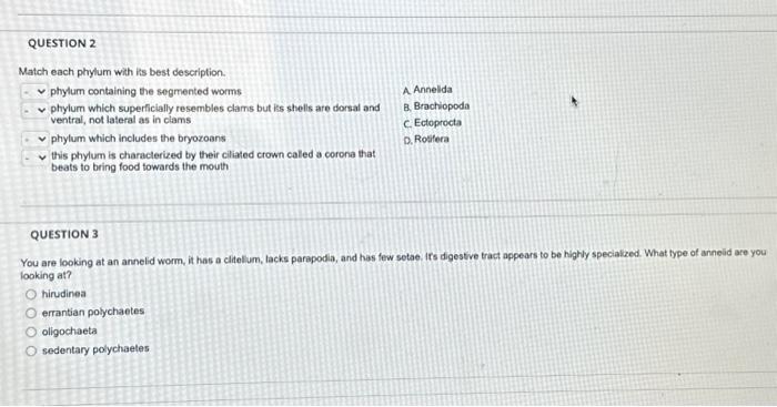 Solved Match each phylum with is best description. phylum | Chegg.com