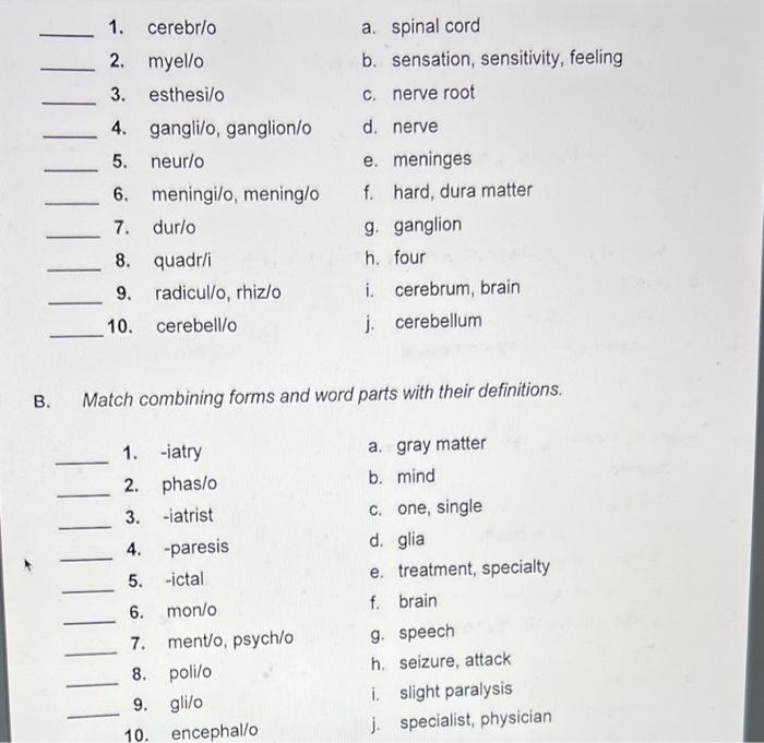 Solved 1. cerebr/o a. spinal cord 2. myel/o b. sensation, | Chegg.com
