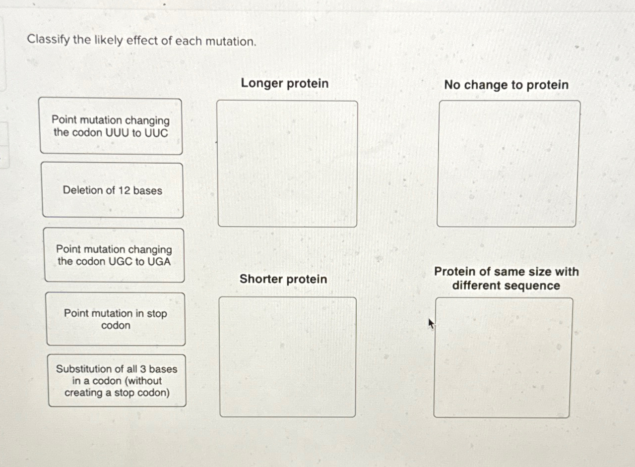 Solved Classify the likely effect of each mutation.Longer | Chegg.com