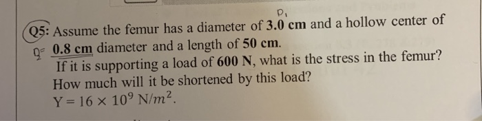 Solved 26.|| A spring has a relaxed length of 20 mm. It | Chegg.com
