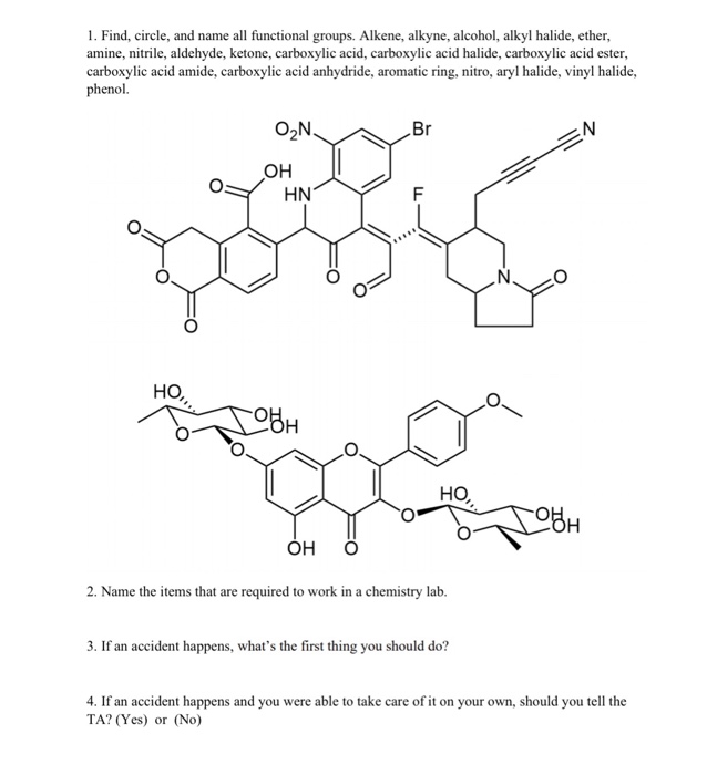 Solved 1. Find, circle, and name all functional groups. | Chegg.com