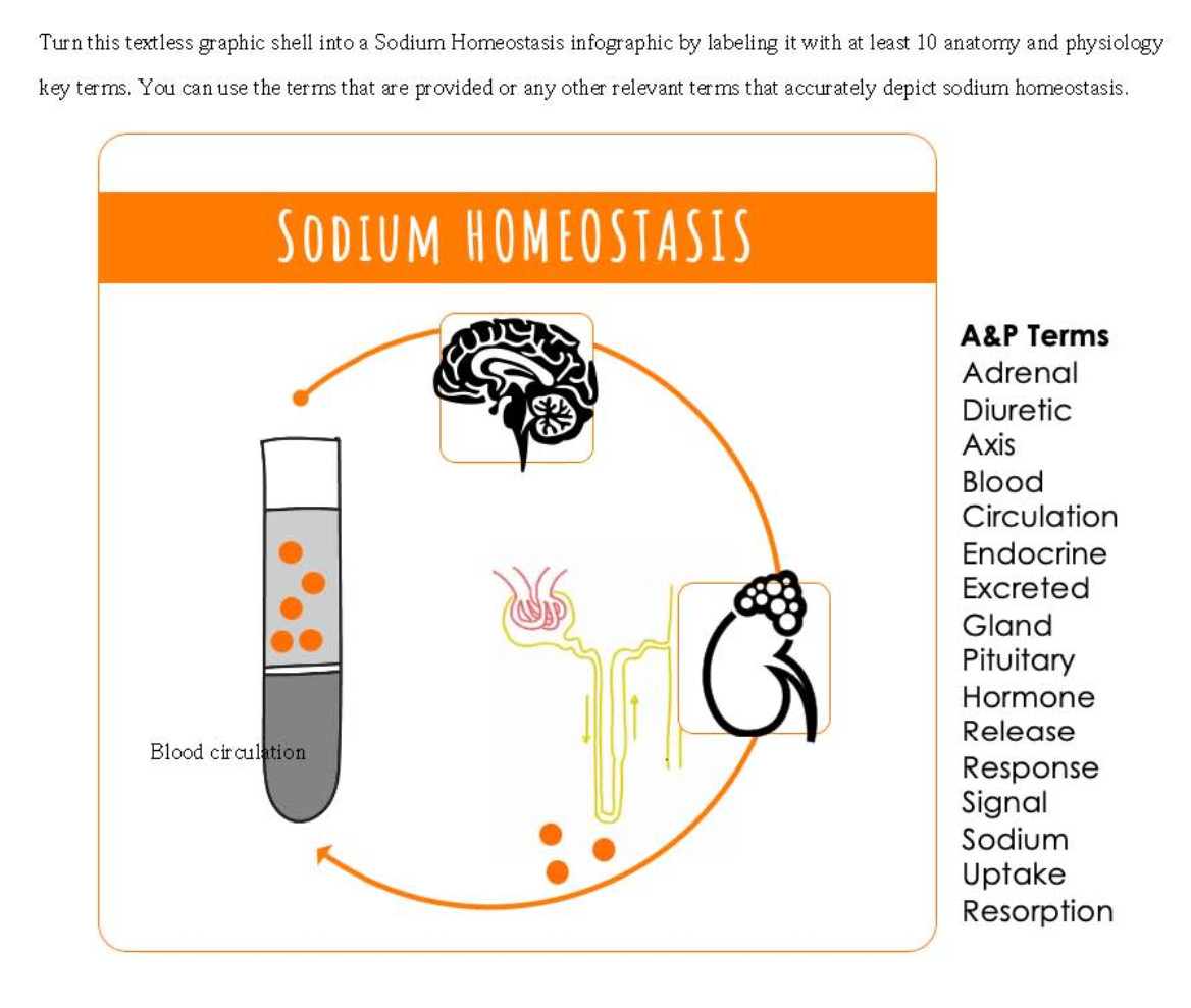 Solved Turn this textless graphic shell into a Sodium | Chegg.com