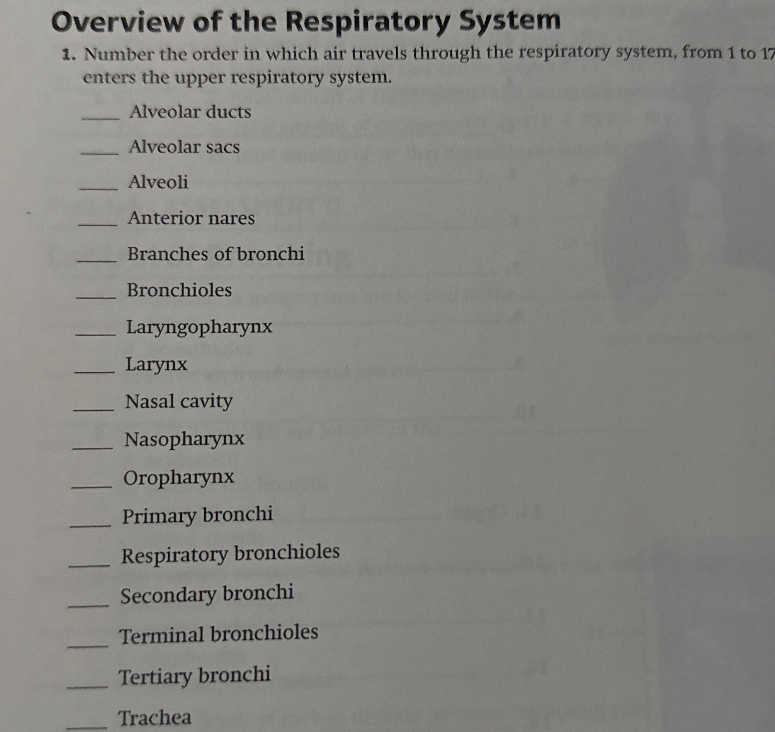 Overview of the Respiratory SystemNumber the order in | Chegg.com