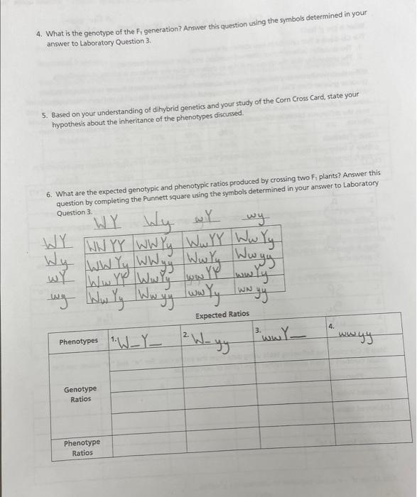 Solved 4. What is the genotype of the F, generation? Answer | Chegg.com