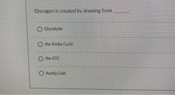 Solved Glycogen is created by drawing from O Glycolysis O | Chegg.com