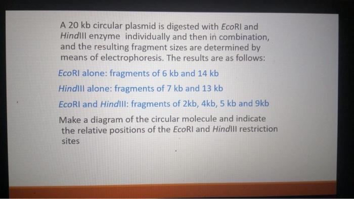 Solved A 20 kb circular plasmid is digested with EcoRI and | Chegg.com