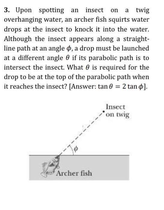 3. Upon spotting an insect on a twig overhanging | Chegg.com