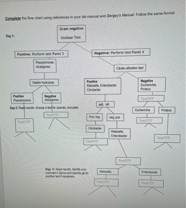 Solved Eallnw the same format | Chegg.com