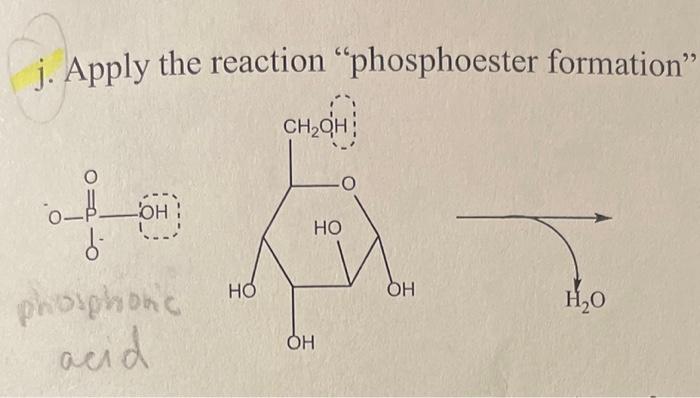 Solved i. Apply the reaction "phosphoester formation" | Chegg.com