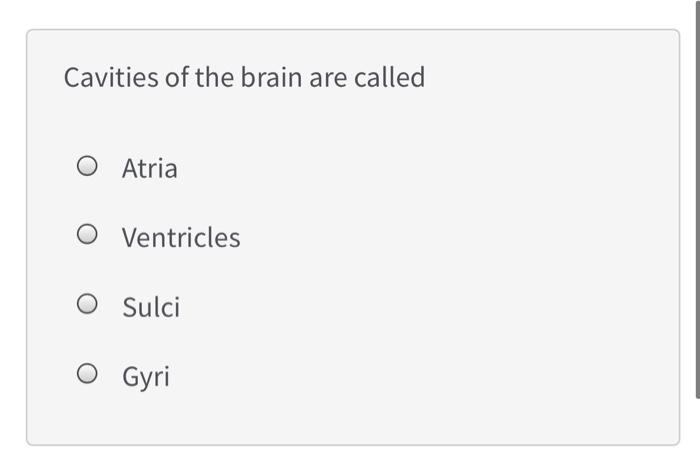 Solved Cavities of the brain are called Atria O Ventricles O | Chegg.com