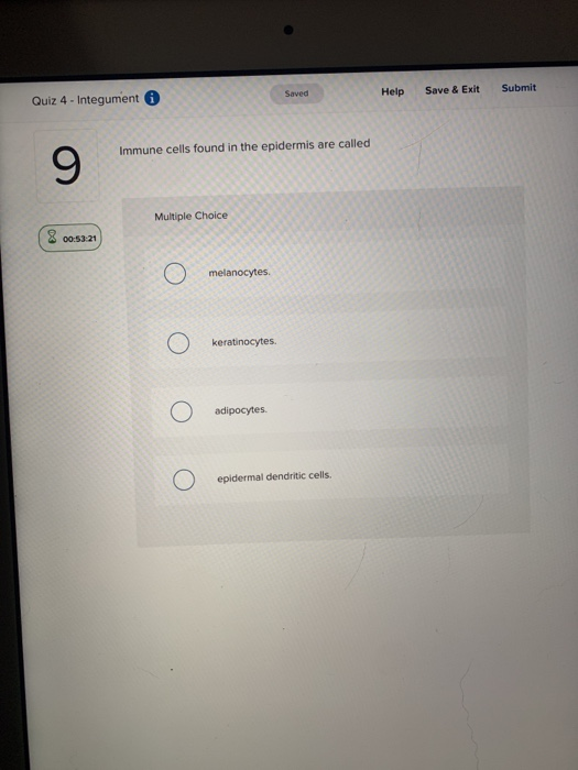 Solved Help Save & Exit Submit Quiz 4 - Integument Immune | Chegg.com