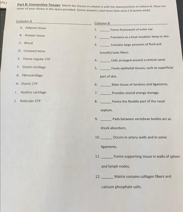 Solved Part A: Epithelial Tissues. Match the tissues in | Chegg.com