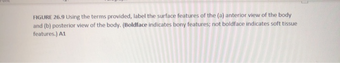 Solved FIGURE 26.9 Using the terms provided, label the | Chegg.com