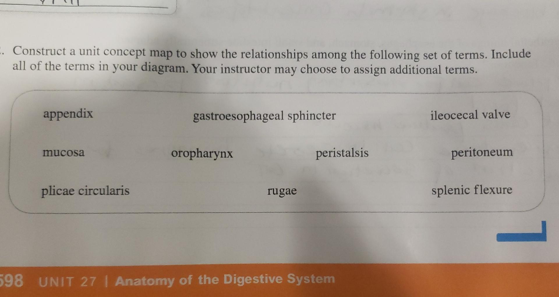 Solved Construct a unit concept map to show the | Chegg.com
