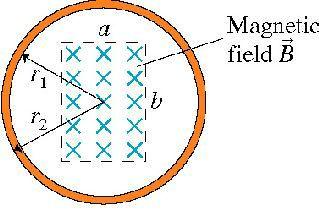 Solved What is the magnetic flux through the loop shown in | Chegg.com
