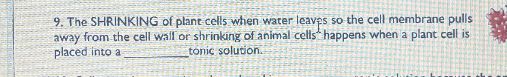 Solved The SHRINKING of plant cells when water leaves so the | Chegg.com