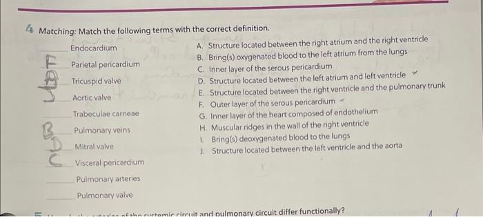 Solved 4 Matching: Match the following terms with the | Chegg.com