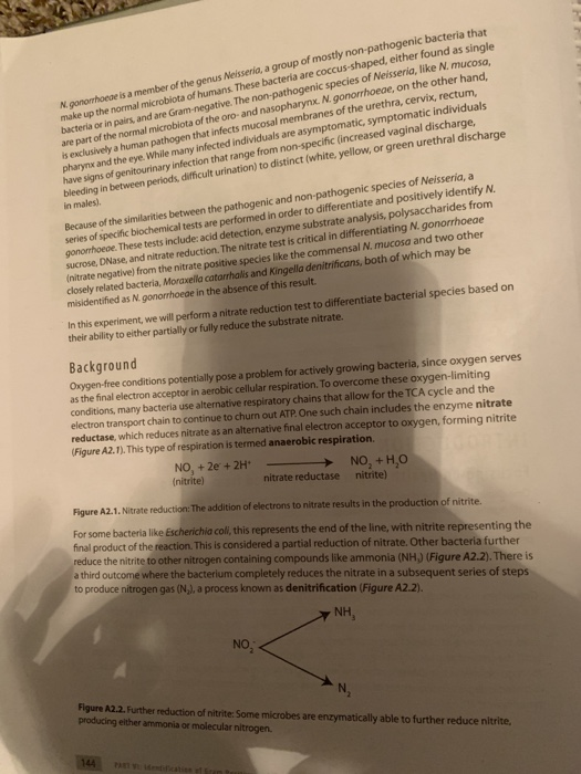 Solved PART VI: IDENTIFICATION OF GRAM POSITIVE AND GRAM | Chegg.com
